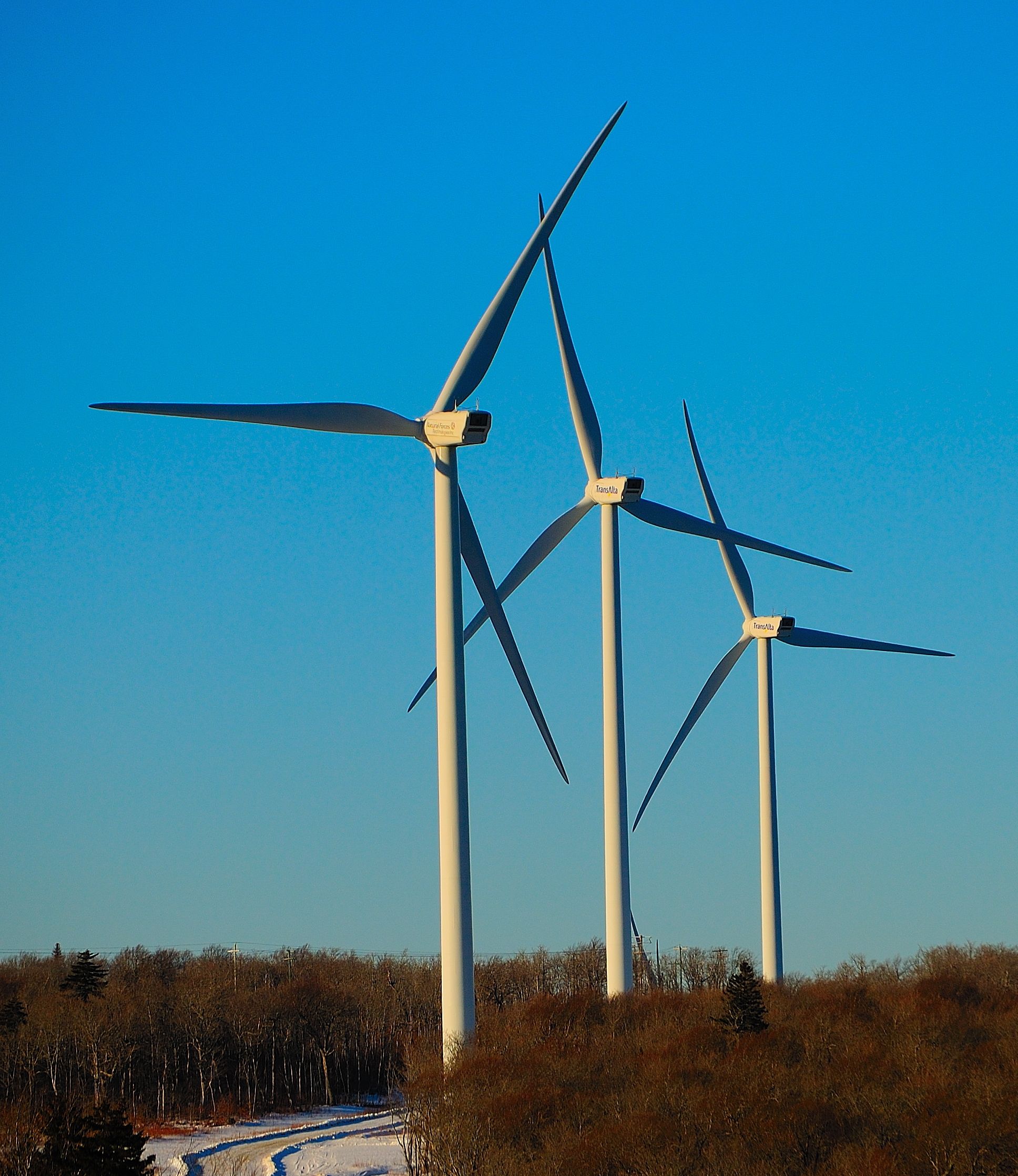 Vestas Receives 150 MW Service Renewal at Canadian Wind Power Plant ...